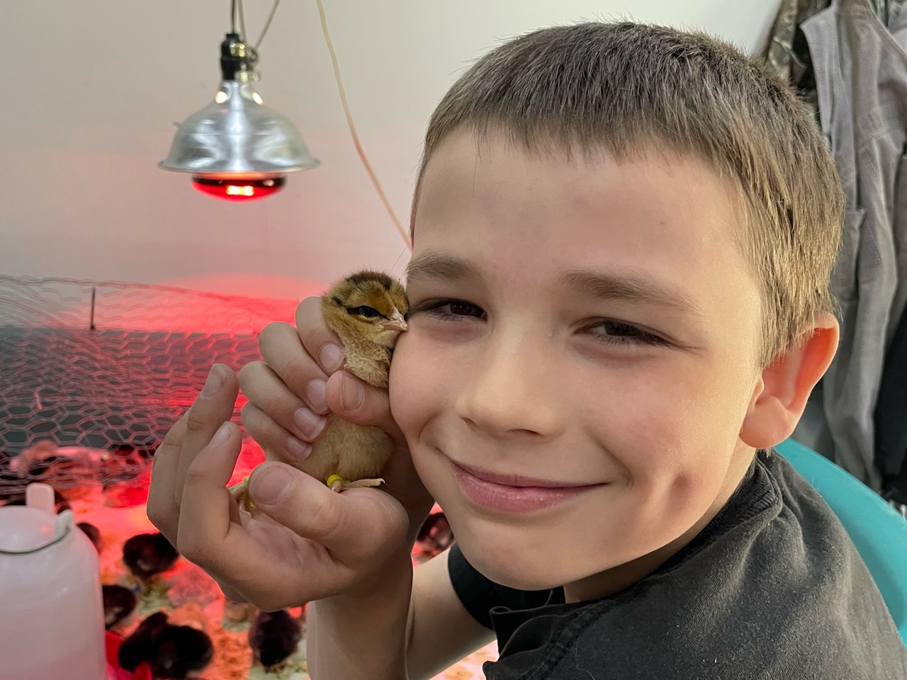 Danny's Farm Memories — Maine Homestead Magazine By Wheaton Woodlands